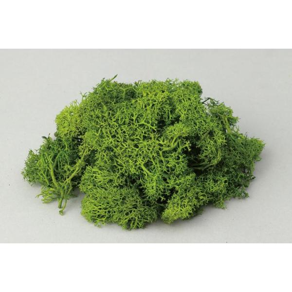 色鮮やかなプリザーブドモス商品サイズ91×155×30mmセット内容プリザーブドモス10g