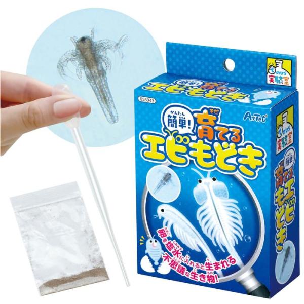 卵を塩水に入れると生まれる不思議な生き物を育てよう商品サイズ143×90×40mmセット内容スポイト 2ml×1、エビもどきの卵×1