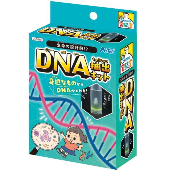 てのひら実験室シリーズの「生命の設計図！？DNA抽出キット」です。ブロッコリーなど身近な食品や自分の口腔細胞からDNAを抽出できるキットです。解説付きで、自由研究におすすめです。対象年齢：6歳以上。目安制作時間：40分。別途用意するもの：水...
