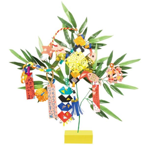 笹と飾りがセット！ 便利な土台付も新登場！商品サイズEVA台座：70x105x33m、笹：約560x630mmセット内容七夕用笹63cm×1、色紙6色組×1、カラーモール8色組×1、ホログラムシート×1、両面カラー工作紙16切×1、EVA台...
