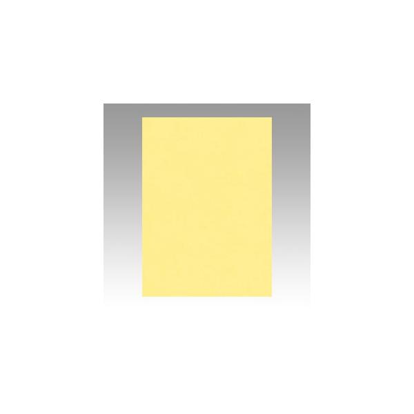 [メール便発送はできません]　１枚から発送します。（同色１０枚・１００枚単位にはしておりません）色鮮やか、描画・造形・壁面合同作品や作品掲示台紙など、様々な場面で活躍！再生紙　エコ（環境配慮）比率　100%寸法：542×392ミリ（四つ切）...