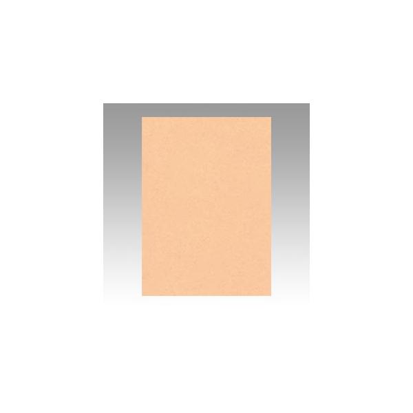 [メール便発送はできません]　１枚から発送します。（同色１０枚・１００枚単位にはしておりません）色鮮やか、描画・造形・壁面合同作品や作品掲示台紙など、様々な場面で活躍！再生紙　エコ（環境配慮）比率　100%寸法：542×392ミリ（四つ切）...