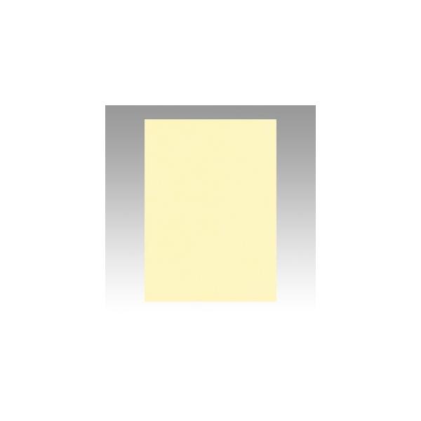 [メール便発送はできません]　１枚から発送します。（同色１０枚・１００枚単位にはしておりません）色鮮やか、描画・造形・壁面合同作品や作品掲示台紙など、様々な場面で活躍！再生紙　エコ（環境配慮）比率　100%寸法：542×392ミリ（四つ切）...