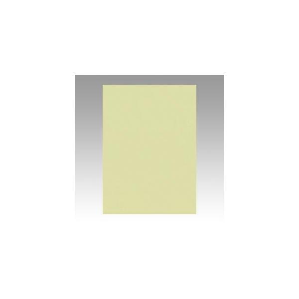 [メール便発送はできません]　１枚から発送します。（同色１０枚・１００枚単位にはしておりません）色鮮やか、描画・造形・壁面合同作品や作品掲示台紙など、様々な場面で活躍！再生紙　エコ（環境配慮）比率　100%寸法：542×392ミリ（四つ切）...