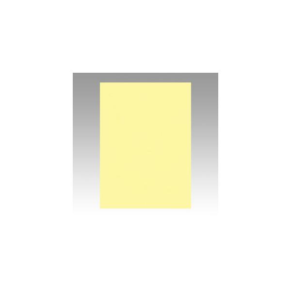 [メール便発送はできません]　１枚から発送します。（同色１０枚・１００枚単位にはしておりません）色鮮やか、描画・造形・壁面合同作品や作品掲示台紙など、様々な場面で活躍！再生紙　エコ（環境配慮）比率　100%寸法：542×392ミリ（四つ切）...