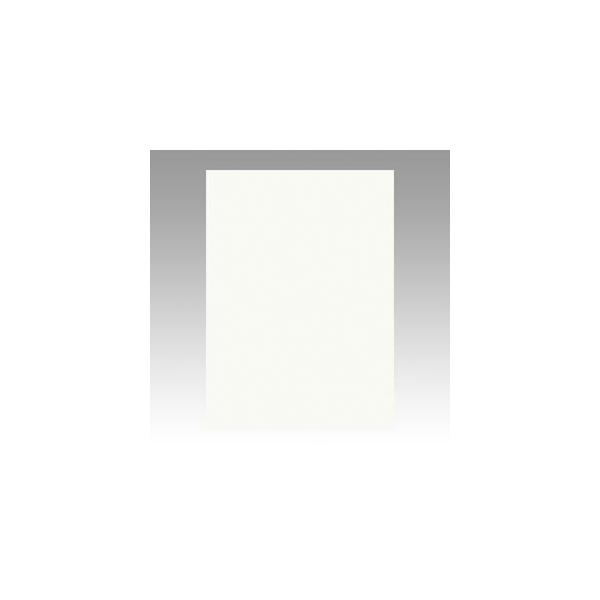 [メール便発送はできません]　１枚から発送します。（同色１０枚・１００枚単位にはしておりません）色鮮やか、描画・造形・壁面合同作品や作品掲示台紙など、様々な場面で活躍！再生紙　エコ（環境配慮）比率　100%寸法：542×392ミリ（四つ切）...