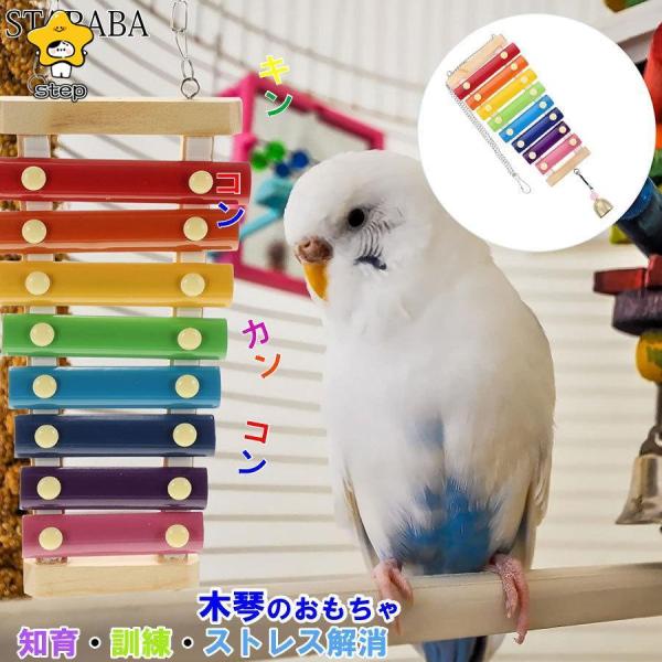 爆買　色鮮やかで見た目が可愛いので、一人でも楽しく遊びます。小鳥のストレス解消に適しています。【ペットの鳥へのギフト】ペットの運動にぴったりのギフトです。ゴールデンサンオウム、モンクオウム、インコ、グレイオウム、ミニコンオウム、アレクサンダ...