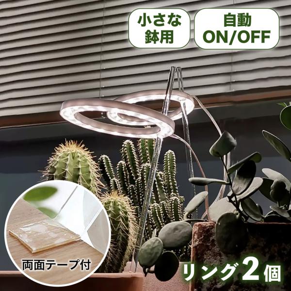 ・小さな鉢用の植物育成LEDライト・多肉植物 観葉植物などの光が届きにくい場所での栽培に・直径9cmの「天使の輪」を小さな鉢に一つ挿せば屋内でもイキイキ元気・欧米ではエンジェルライトangel light と呼ばれ大人気・自動で電源ON/O...