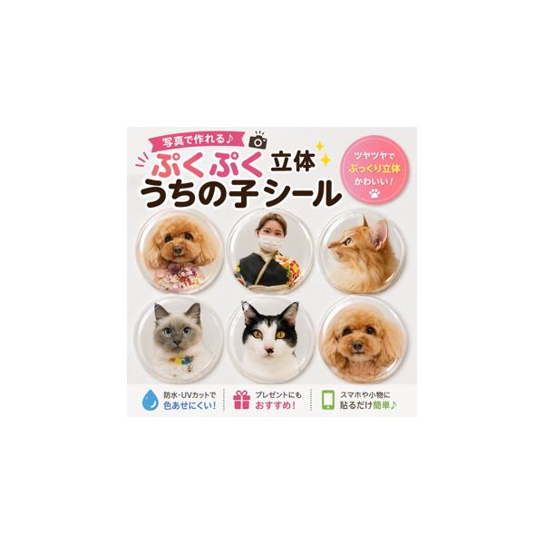 お好きな写真をかわいいぷっくり立体シールに出来ます！記念品やプレゼントにも！