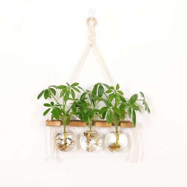 説明:高品質の素材:植物をより美しく見せるための木製スタンド付きの透明なガラス玉テラリウム.部屋のミニマリストの装飾.あなたのスペースに緑を追加します.複数の用途:シンプルな外観は.造花やデイジー.バラ.野草や花などの本物の植物に適していま...