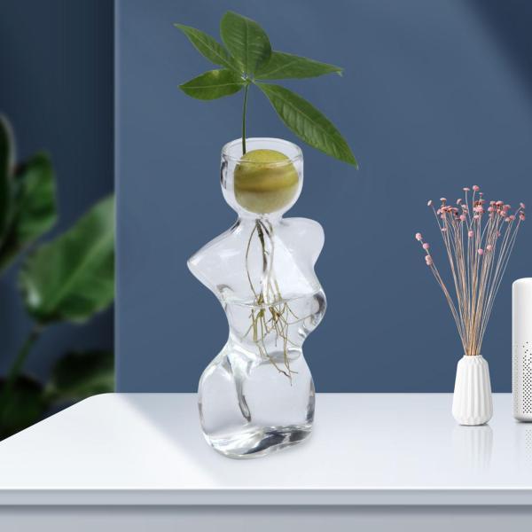 説明:[プレミアムガラス構造]: 高品質のガラス素材で作られたこのアボカドガラス花瓶は.優れた耐熱性と耐久性を誇り.壊れにくい丈夫な構造を長期間保ちます. [成長観察のためのクリアなデザイン]: 透明なガラスデザインにより.アボカドの種の芽...