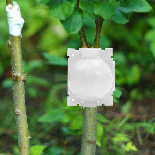 説明:[丈夫な素材]:植物発根装置は高品質のPP素材で作られており.強くて耐久性があり.繰り返し使用でき.壊れにくいです.大雨.強風.異常気象でも植物を保護します.[厚さ調整可能]:植物発根ボールの底部は枝の直径に合わせて合理的に調整できま...