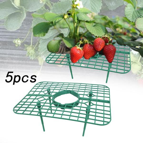 説明:[パッケージ内容]: イチゴ植物サポート 5 本が含まれ.さまざまなニーズを満たすのに十分な量です. [革新的なデザイン]: イチゴサポートラックは中空デザインを採用しており.植物の周りの空気循環を良くし.果実の腐敗を防ぎます.また....