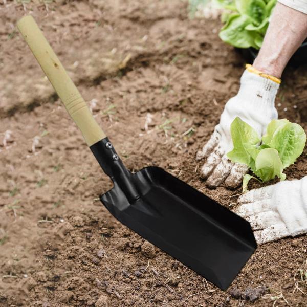 説明:[多機能]:暖炉の灰の除去.炭の取り扱い.ガーデニング.植木鉢の植え付け.庭の掃除.ペットの排泄物の処理に最適なガーデンシャベル. [軽量で持ち運びに便利]: コンパクトなデザインの暖炉用灰かき棒で.持ち運びやすく.屋内でも屋外でも使...