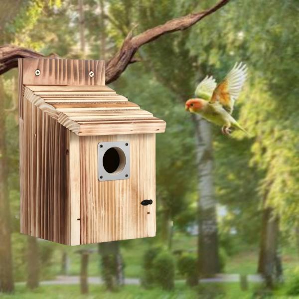 説明: [鳥小屋のサイズ]: 14cm x 14cm x 25cm / 5.51インチ x 5.51インチ x 9.84インチ.この可愛らしい小さな止まり木は.鳥が止まって食べるのに最適な場所です. [プレミアム素材]:屋外用鳥の巣箱は高品...