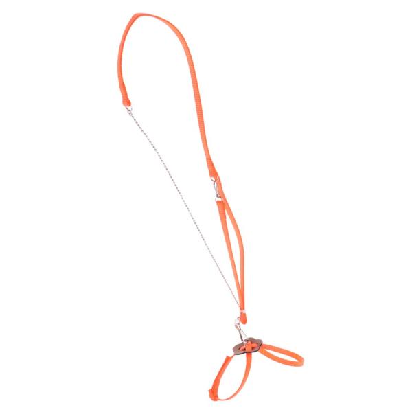 説明:真新しく高品質軽量とソフト。 調整可能なハーネスとリーシュの組み合わせは、爬虫類や鳥の所有者がペットを外に出すのを楽しみにしている必要があります。 材質：ナイロン+アイアンチェーン幅： 0.8cm / 0.31インチ、長さ： 1.2m...