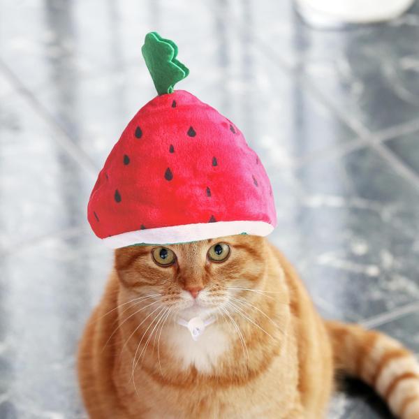 説明:[素材]:このペットコスチュームの帽子は柔らかいぬいぐるみでできており.肌に優しく.冬に暖かく.スイカの形をしており.快適な着用体験を提供します.[着用簡単]: 粘着性のあるデザイン.頭囲30cm.ペット.猫.犬に適しています.[デザ...