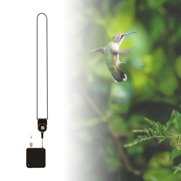 説明:[多用途のオウムのリード]: この自動巻き取り式オウムのリードは.屋外での鳥の飛行や散歩に最適です.ペットの足を傷つけないように設計されており.牡丹や黒鳳凰の鳥に適しています. [多用途]: リーシュは首にかけたり.手首や指に巻き付け...