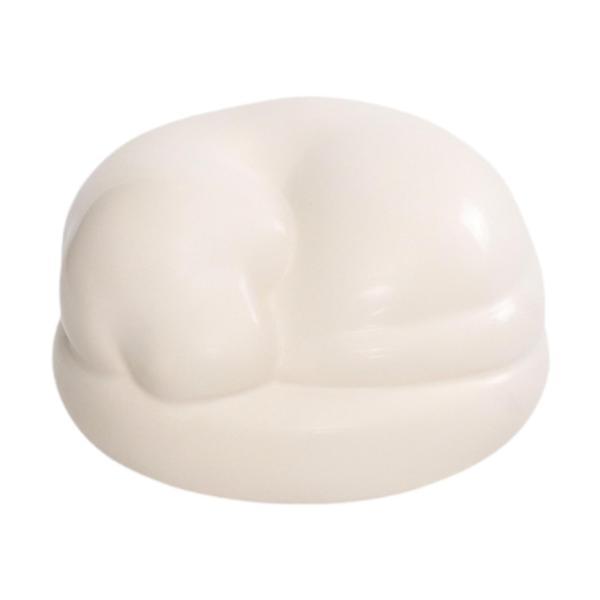 説明:デザイン[コンパクトサイズash灰のペットのurn.5.91inchx5.91inchx3.94inch samll and compact.lightweight and   raver raper あなたのペットのためにあなたのミ...