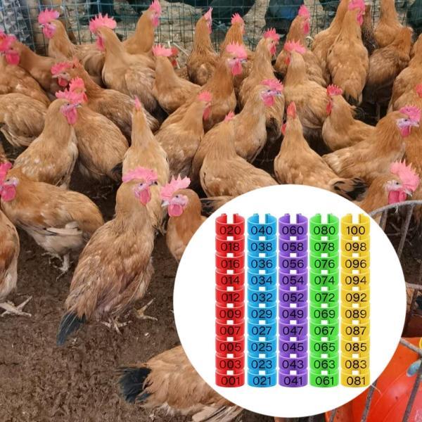 説明:[再利用可能な素材]: 家禽用フットリングはABS製で再利用可能で.長期間使用しても無傷で安全です. [番号付きバンド]: 鶏の脚のリングはすべて固有の番号が付けられており.アヒル.ひよこ.鶏.モルモット.ガチョウ.闘鶏.七面鳥.その...