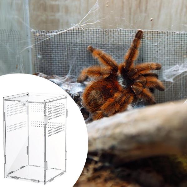 説明: [プレミアム素材]: 高品質のアクリルで作られたこのエンクロージャは.耐久性とタランチュラを観察するためのクリアな視認性を提供します. [最適なサイズ]: 7.5 x 7.5 x 15 cm (3 x 3 x 6インチ) のサイズで...