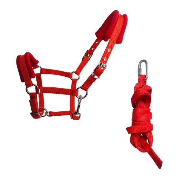 説明:機能:ホースブライドル特別なコンを持っている馬に最適です.高品質:ラップされたスポンジは馬の皮膚を保護することができます.素材:綿製で耐久性があり.持ちやすく快適です:立つための馬と手がかりを素晴らしい.馬の手綱:馬の頭に無口を置くの...