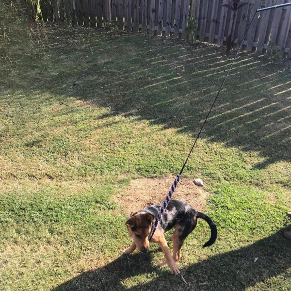 仕様:材質:アルミニウム合金とスポンジ青色;黒サイズチャート:サイズ:延長長さ89cm / 35.04inch;引き込み式の長さ26cm / 10.24インチ;ロープの長さ107cm / 42.13inch延長長さ69cm / 27.17i...