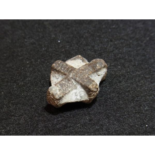 十字石StauroliteLOC. Keivy Kola Peninsula Russiaサイズ：約3×2.5×1cm十字石は双晶をしやすい鉱物で直角や60度に交わる鉱物です。中世の十字軍の兵士たちがこの石をお守りとして出征していたといわれ...