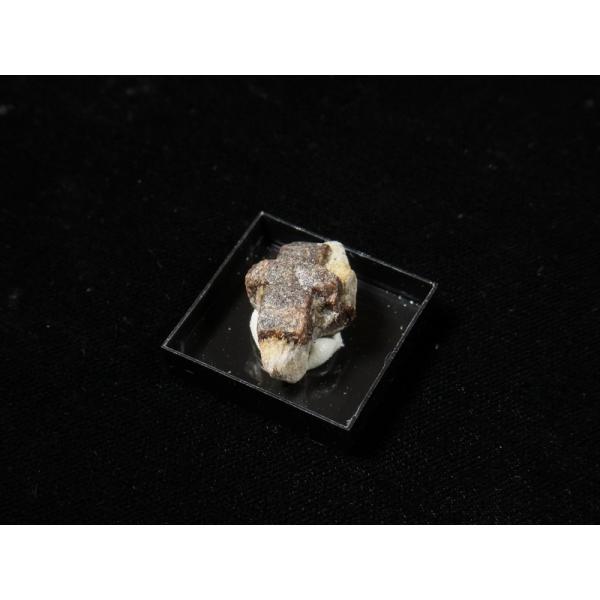 十字石StauroliteLOC. Keivy Kola Peninsula Russiaサイズ：約2.2×1.8×1.1cm十字石は双晶をしやすい鉱物で直角や60度に交わる鉱物です。中世の十字軍の兵士たちがこの石をお守りとして出征していた...