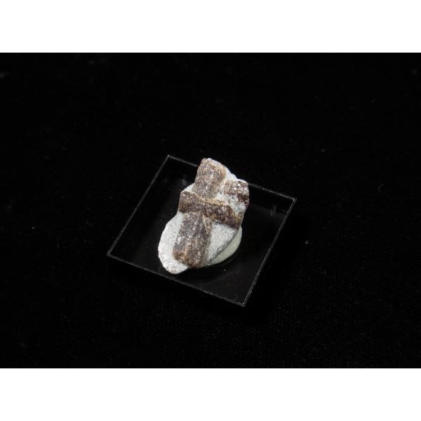十字石StauroliteLOC. Keivy Kola Peninsula Russiaサイズ：約2.8×1.4×0.8cm十字石は双晶をしやすい鉱物で直角や60度に交わる鉱物です。中世の十字軍の兵士たちがこの石をお守りとして出征していた...