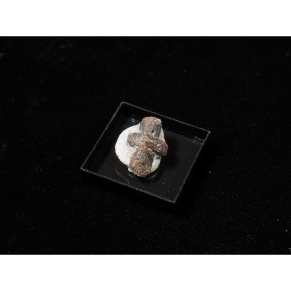 十字石StauroliteLOC. Keivy Kola Peninsula Russiaサイズ：約1.8×1.4×0.6cm十字石は双晶をしやすい鉱物で直角や60度に交わる鉱物です。中世の十字軍の兵士たちがこの石をお守りとして出征していた...