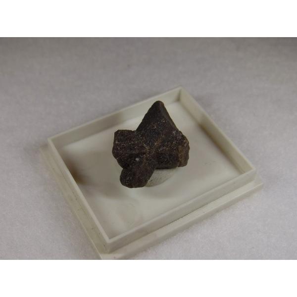 十字石StauroliteLOC. Keivy Kola Peninsula Russiaサイズ：約2×1.5×1cm十字石は双晶をしやすい鉱物で直角や60度に交わる鉱物です。中世の十字軍の兵士たちがこの石をお守りとして出征していたといわれ...