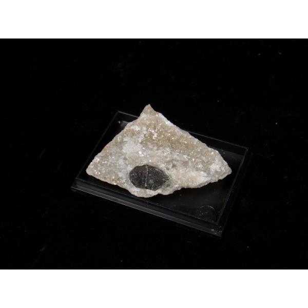 黒水晶（モリオン）Black QuartzLOC. Monte Rosso Reggio Emilia Italiaサイズ　母岩：約5.1×3.3×2.1ｃｍ　モリオン：約1.4ｃｍ一般的に黒水晶は天然の放射線を浴びて黒くなったと言われてい...