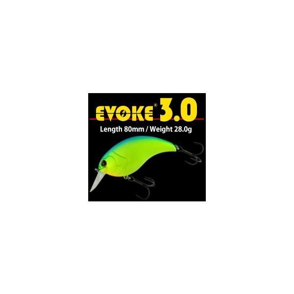 deps/EVOKE3.0『釣りの効率を上げる“道具”でなくてはならない』というコンセプトから生まれた対ヘビーカバークランクベイトです。 カバー回避後にあえてヒラを打たせず、すぐに起き上がる直進性の高さ、またアクションのピッチを限界まで早く...