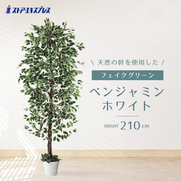 ●サイズ／W85×D85×H210cm 鉢：直径24xH20.8cm●素材／葉：ポリエステル 幹：天然木 鉢：プラスチック●重量／13kg●特記事項／※室内仕様 ※幹に天然素材を使用しているので、写真と形状が異なることがあります。あらかじめ...