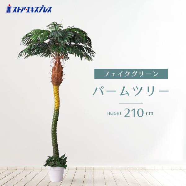 リゾートムードの装飾必須アイテムのリアルなパームツリーです。ハイビスカスやフルーツの飾りなどカラフルなトロピカルグッズを組み合わせて、ウキウキ楽しい夏の店舗ディスプレイに。【サイズ】幅100×奥行100×高さ210cm鉢：直径24×高さ21...