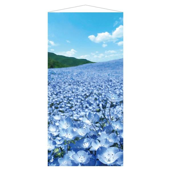 青くきれいなネモフィラのタペストリーが空間を華やかに演出してくれます。防炎加工タイプなので、商業施設・ホテル・病院などの人の集まる店内の飾り付けにもおすすめです。●素材／ポリエステル●サイズ／90×180cm●特記事項／上下パイプ・上部ひも...