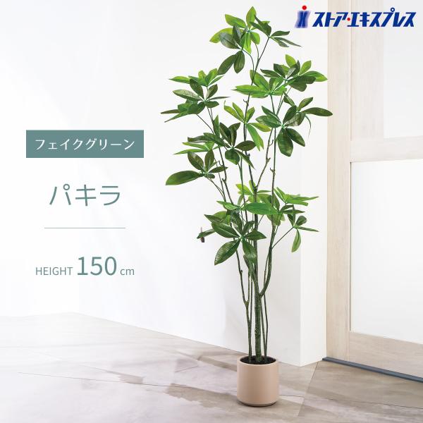 リアルな葉と幹で、本物のパキラのような存在感を再現しながら、水やり・日当たり・虫対策は一切不要。土を使わないのでオフィスや店舗でも清潔に使え、床も汚れません。エントランス、待合スペース、レジ横に置くだけで、おしゃれで癒やしのある空間に変わり...