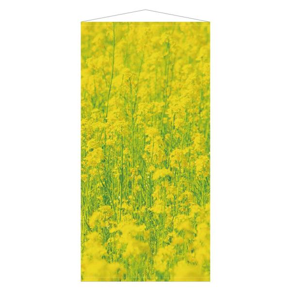 風景を取り入れた華やかな売場で、集客アップ！ ショーウインドウや壁面に1枚飾るだけでお店の雰囲気を春モードに変えることができる、手軽なディスプレイアイテムです。 防炎加工タイプなので、商業施設・ホテル・病院などの人の集まる店内の飾り付けにも...