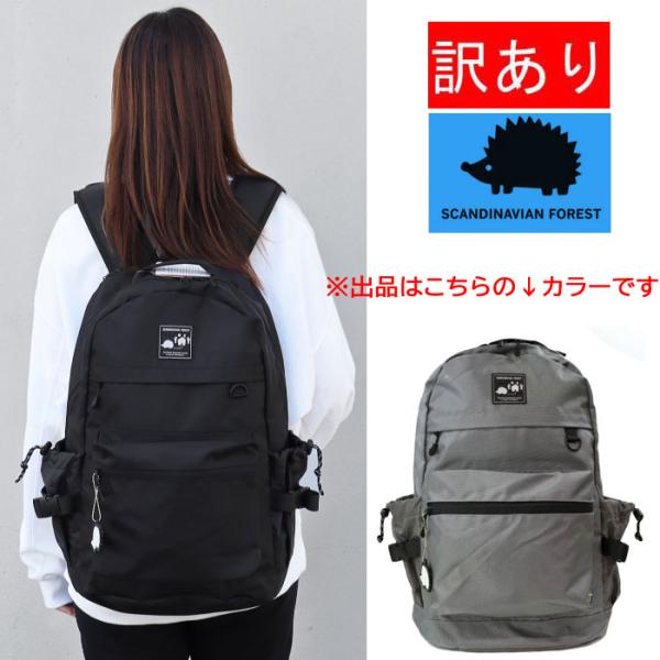 【ブランド】SCANDINAVIAN FOREST スカンジナビアンフォレスト【サイズ】28cm 縦：約47cm マチ：約18cm ショルダー：最大 約93cm【素材】ナイロン【カラー】GRAY【仕様】・メイン開閉：Wファスナー開閉 ・外部...