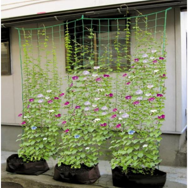 【商品説明】　・インゲン、エンドウ、サヤエンドウ、朝顔など、つる性植物を誘引するための園芸ネットです。つる性植物がすくすく成長です。・サイズ：1.8m*2.7m（設置場所に合わせてハサミで裁断が可能です。）　重さ：約120g・素材：高品質の...