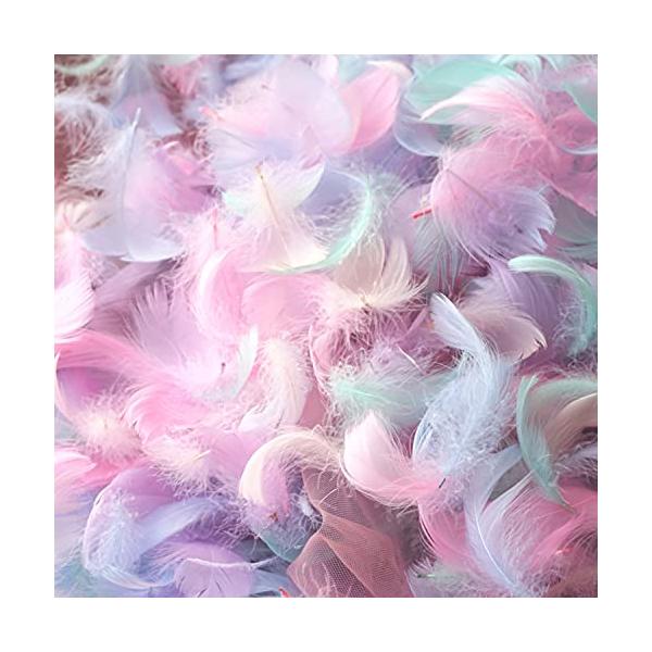 【商品説明】　・【お得コース】容量が大きく、高品質の羽根が200本含まれています。誕生日パーティー、結婚式、パーティー、その他のファッションなどすべてのニーズに対応します。手作りの工芸品にも似合います。きっと特別です。・【フィットサイズ】約...