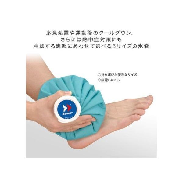 【カラー】.【サイズ】.【素材】ポリエステル、ポリウレタン、ABS樹脂、シリコン、アルミニウム【原産国】日本【メーカー品番】27617414【コメント】ケガの応急処置や運動後のクールダウンに。携帯性に優れているので、必要な時いつでもアイシン...