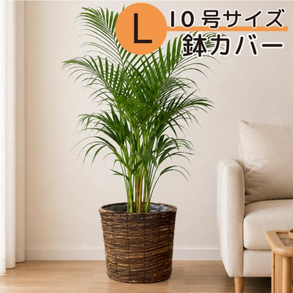 〇サイズ直径約42×高さ約37cm※商品の実寸サイズには個体差があり、また商品の状態や測り方により±数cm程度の差違がある場合がございます。〇素材バナナリーフスチール内袋：PE〇仕様・インナービニール付き■ご注文に際して※1 掲載している商...