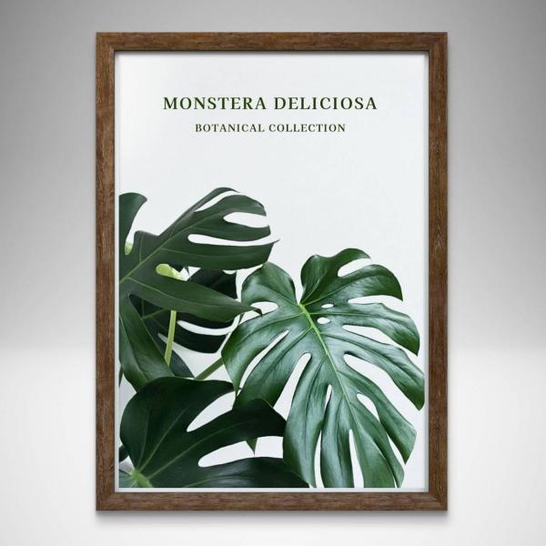 モンテスラの絵 額入り A4サイズ 壁掛け 額付き アートポスター アートパネル現代アート お洒落 絵画 モンテスラ 観葉植物 絵 インテリア額は画像と異なる場合があります