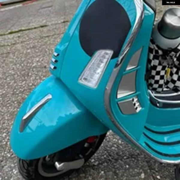 ベスパ GTS 125 300 2023 - 2025 SEI GIORNI 2024 2025 オートバイ アクセサリー ラジエーター グリル ガード プロテクター カバー パネル カスタム パーツ アクセサリーProtective pa...