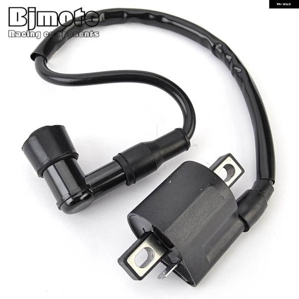 点火 コイルASSY ADLY ATV 100 V 3051A-LLB1-900 KYMCO ATV MXU150 X 2016-2018 MXER 125 150 2002-2011 カスタム パーツ アクセサリーHigh-concern...
