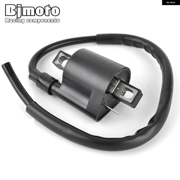 イグニッション コイル ASSY スズキ LTF160 LT160 LT4WD LTF250F クアッドランナー 2WD 4WD OZARK 1990-2007 33410-02C00 33410-02C01 33410-19B00 カスタ...