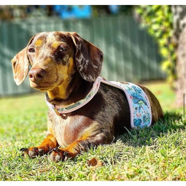 高級感がありまるでお洋服を着せているようなスタイリッシュなデザインで、ネオプレンコットンで作られた高品質なハーネスが愛犬を優しく包みます。ハードウェアカラー：ローズゴールド素材：PUレザー（合皮）、ネオプレンコットン、真鍮（金具部分）サイズ...