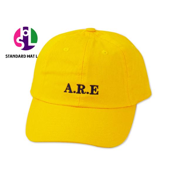 スタンダードハットラボより去年話題アレのロゴが入ったダッドキャップが登場。そうアレのアレです。ボディは信頼のチャンピオンボディを使用しております。サイズ：フリーサイズ生地：コットン